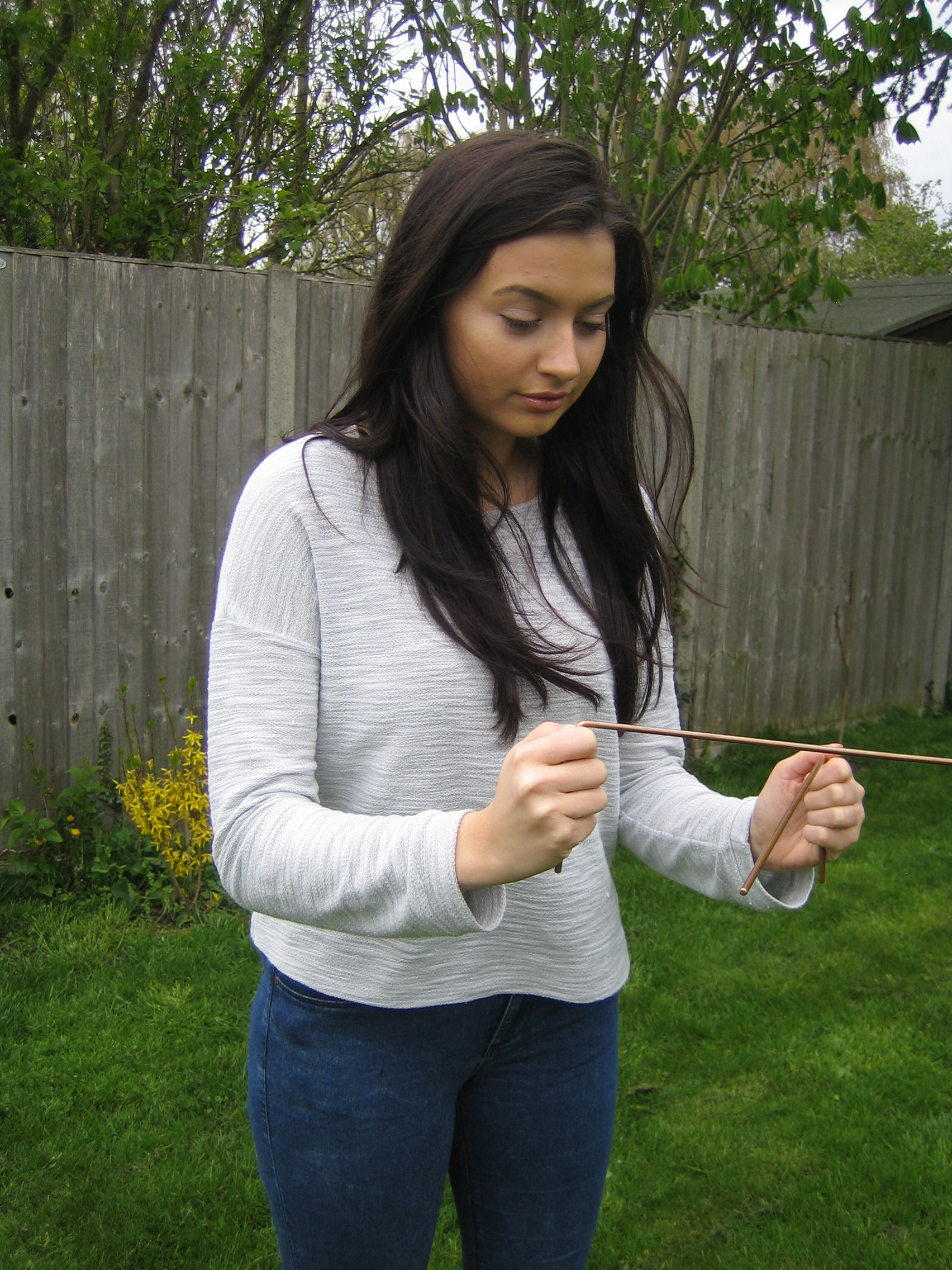 Dowsing - Energetic healing for houses and people